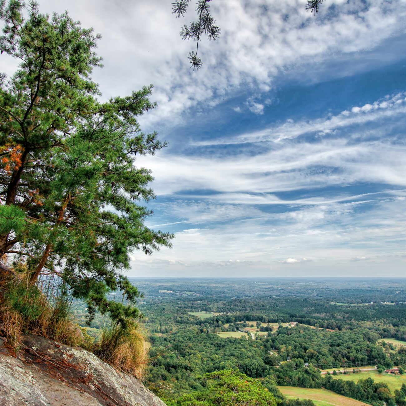 Mental Health Treatment in Atlanta, GA | Imagine Wellness Centers